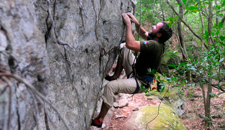 EL RINCÓN DE GUNDISALVUS: Ascender no significa trepar