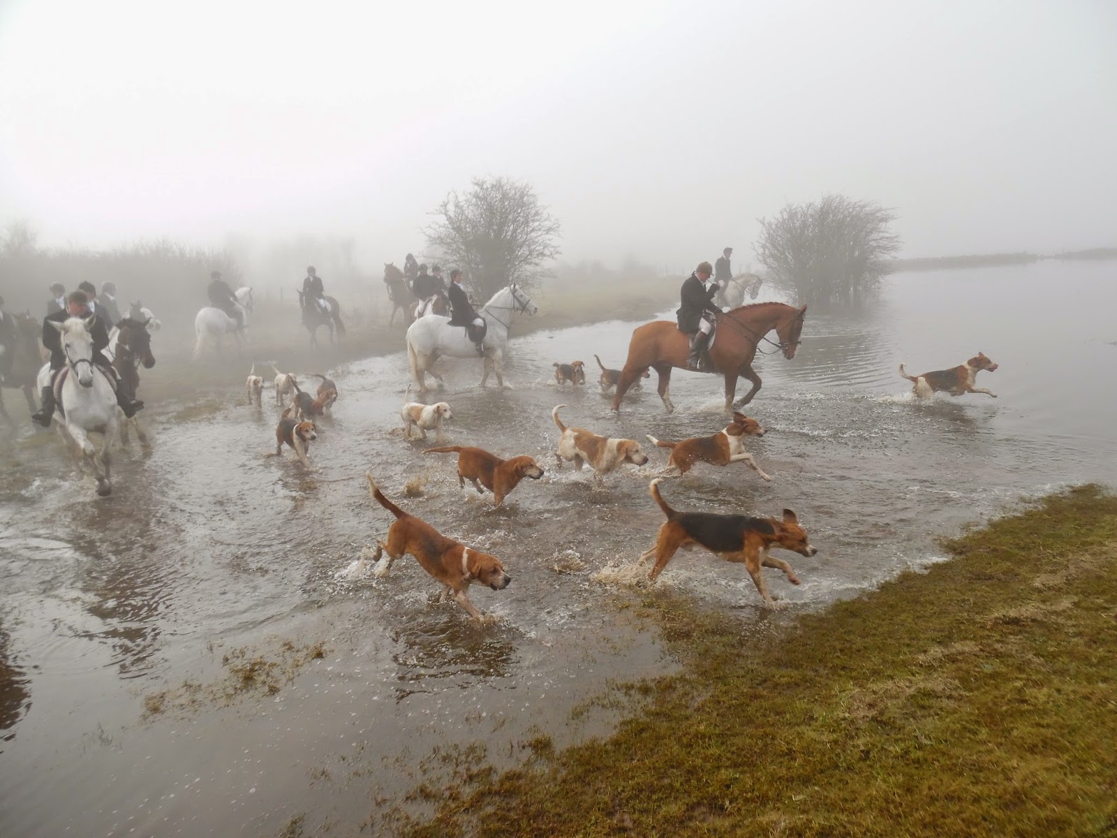 Dragon's Lair Farm - a horse farm: My latest Irish foxhunting trip.......