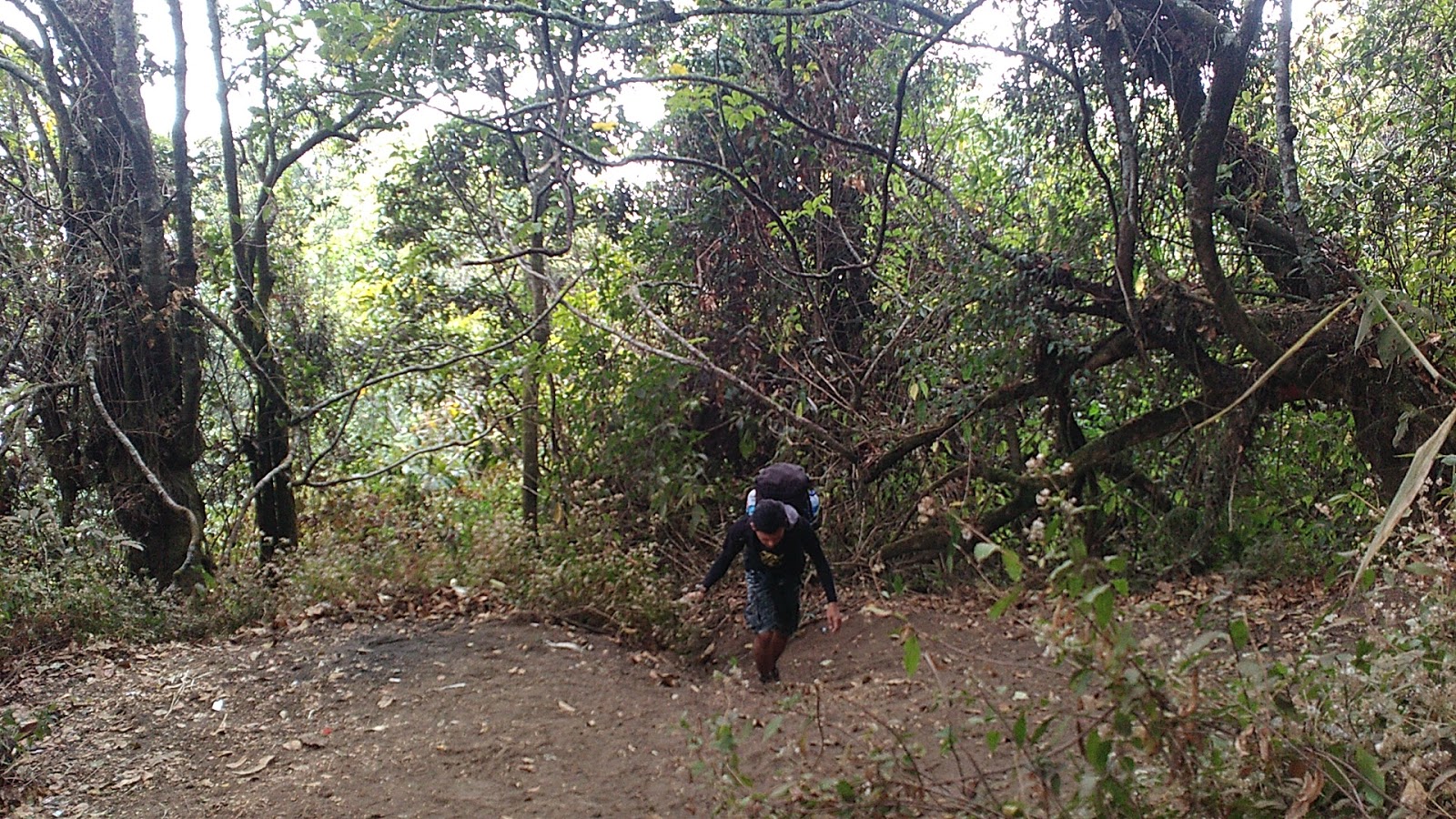 GUNUNG SLAMET : JAVA CENTRAL HIGHEST POINT 3428 MDPL - Perindu Jejak