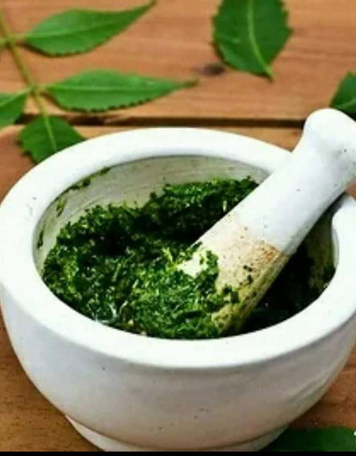 The Health Benefits Of Dogonyaro Leaf the-health-benefits-of-dogonyaro-leaf