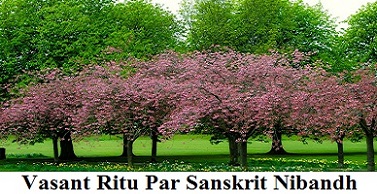 वसंत ऋतु पर संस्कृत निबंध। Vasant Ritu Par Sanskrit Nibandh | HindiVyakran