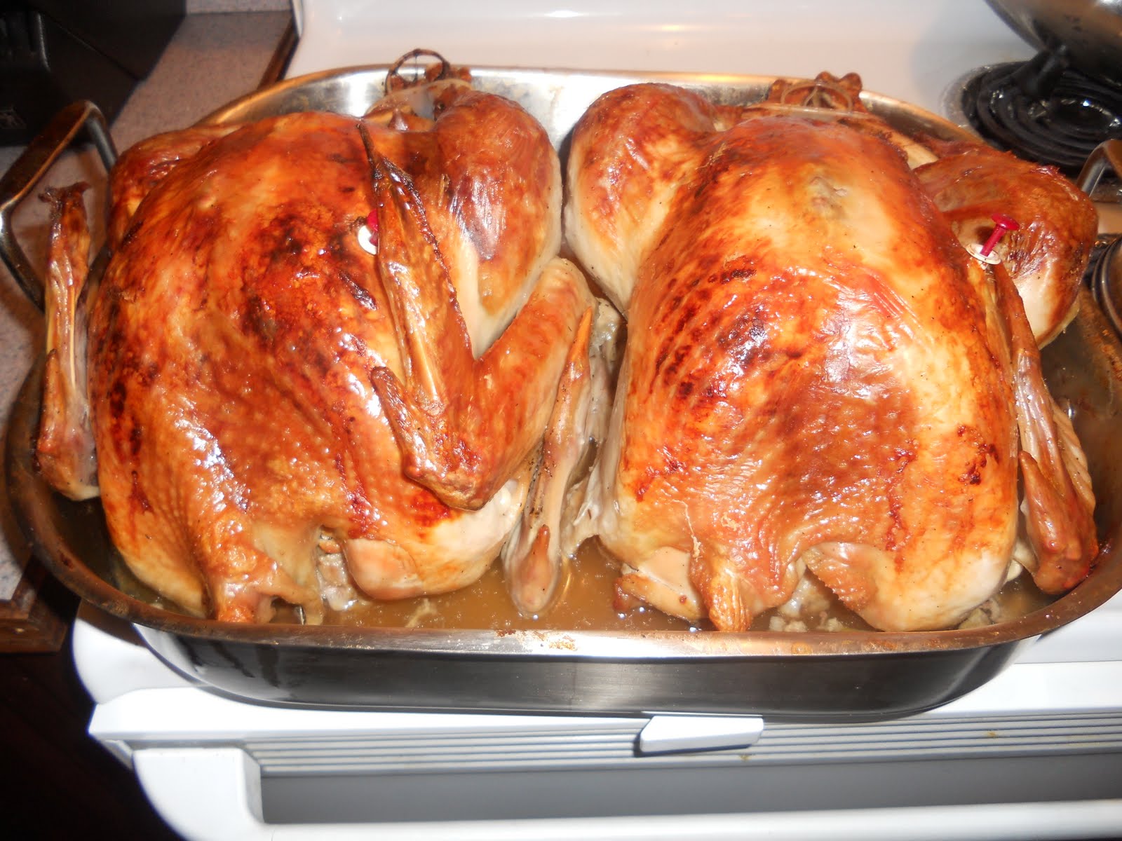 my stay-at-home momma drama: A Tale of Two Turkeys