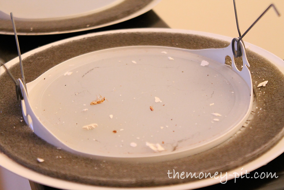 In case you can't see it clearly.. THIS is what I'm talking about: