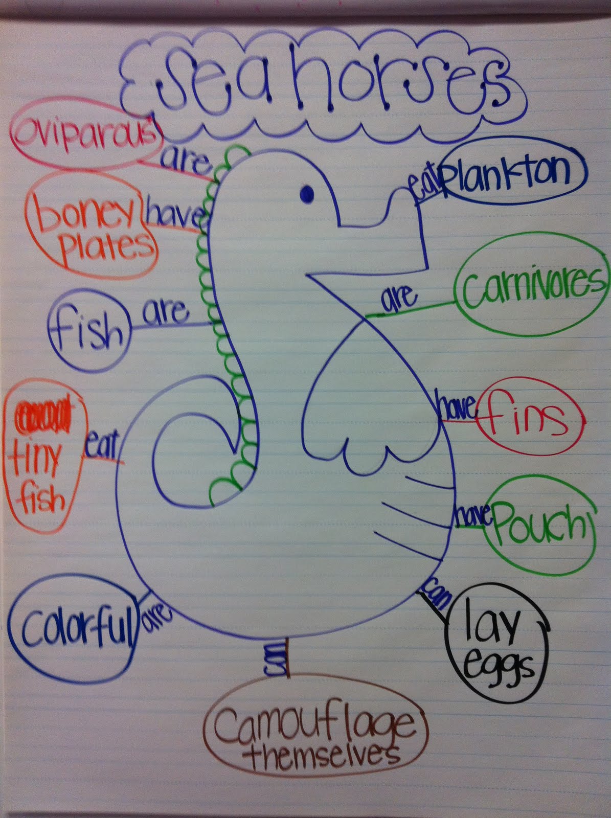 Welcome to Room 36!: Seahorses and how to writing