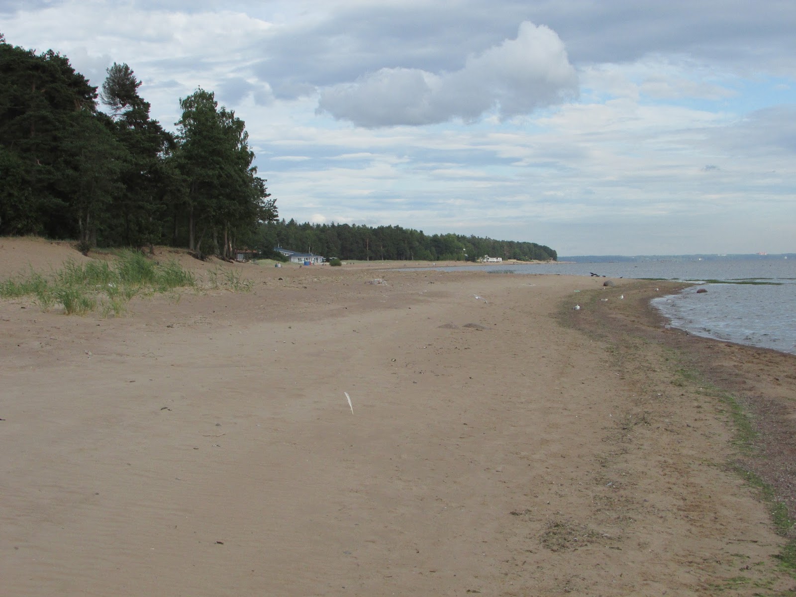 Willimiehen jäljillä: Terijoki / Terijoen rannat