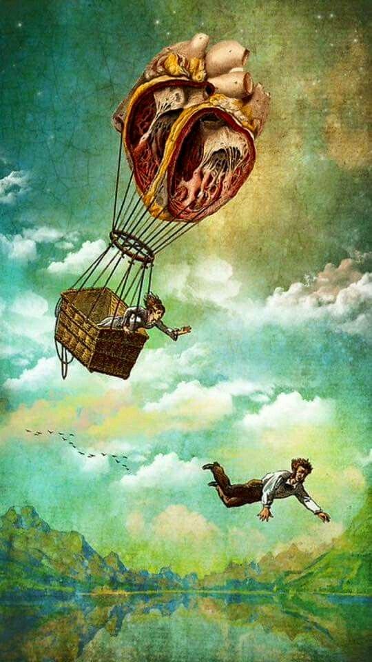 Desordenaré las lluvias.: Defenestrar