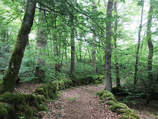 Blog du Gîte de Lasgorceix