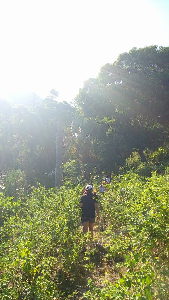 My trips: Mt. Mag-asawang Bato Tingloy Island, Batangas My trips: Mt. Mag-asawang Bato Tingloy Island, Batangas