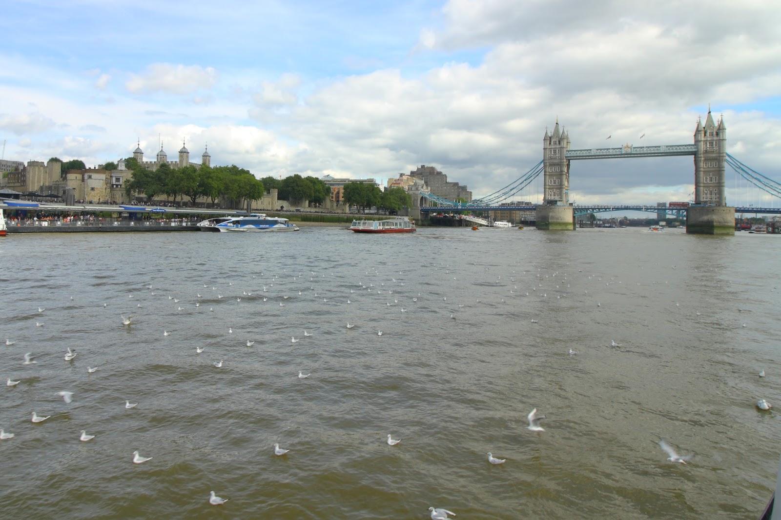 Más que 8 palabras: 19 de #27letras: Con la R de Río