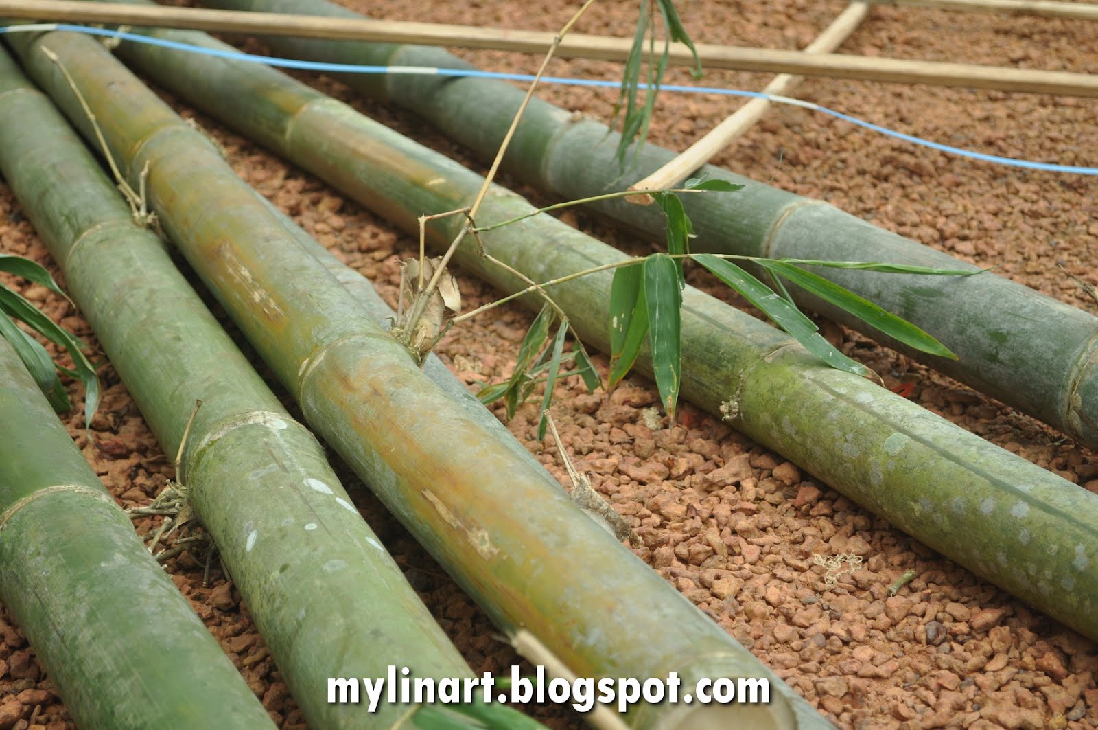 Buluh..... dan layang-layang | mylinart