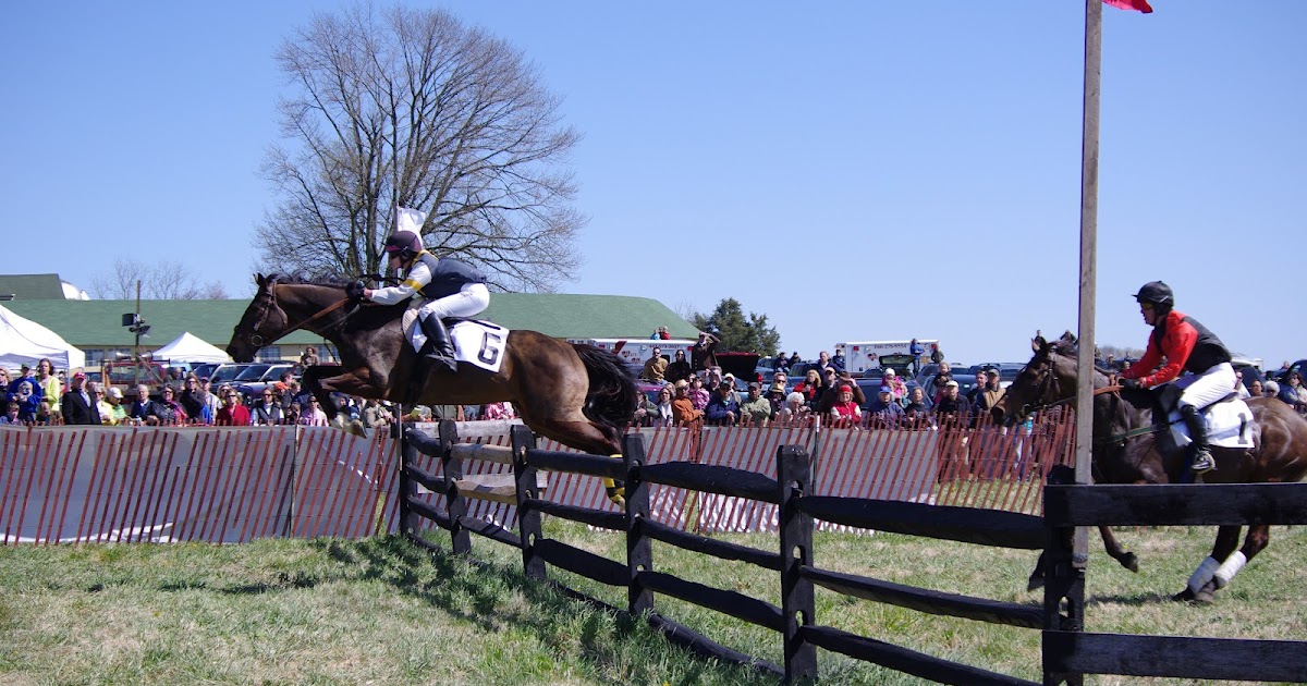 The Life of an Anglo-American: Two Weeks of Amazing Racing in Monkton...