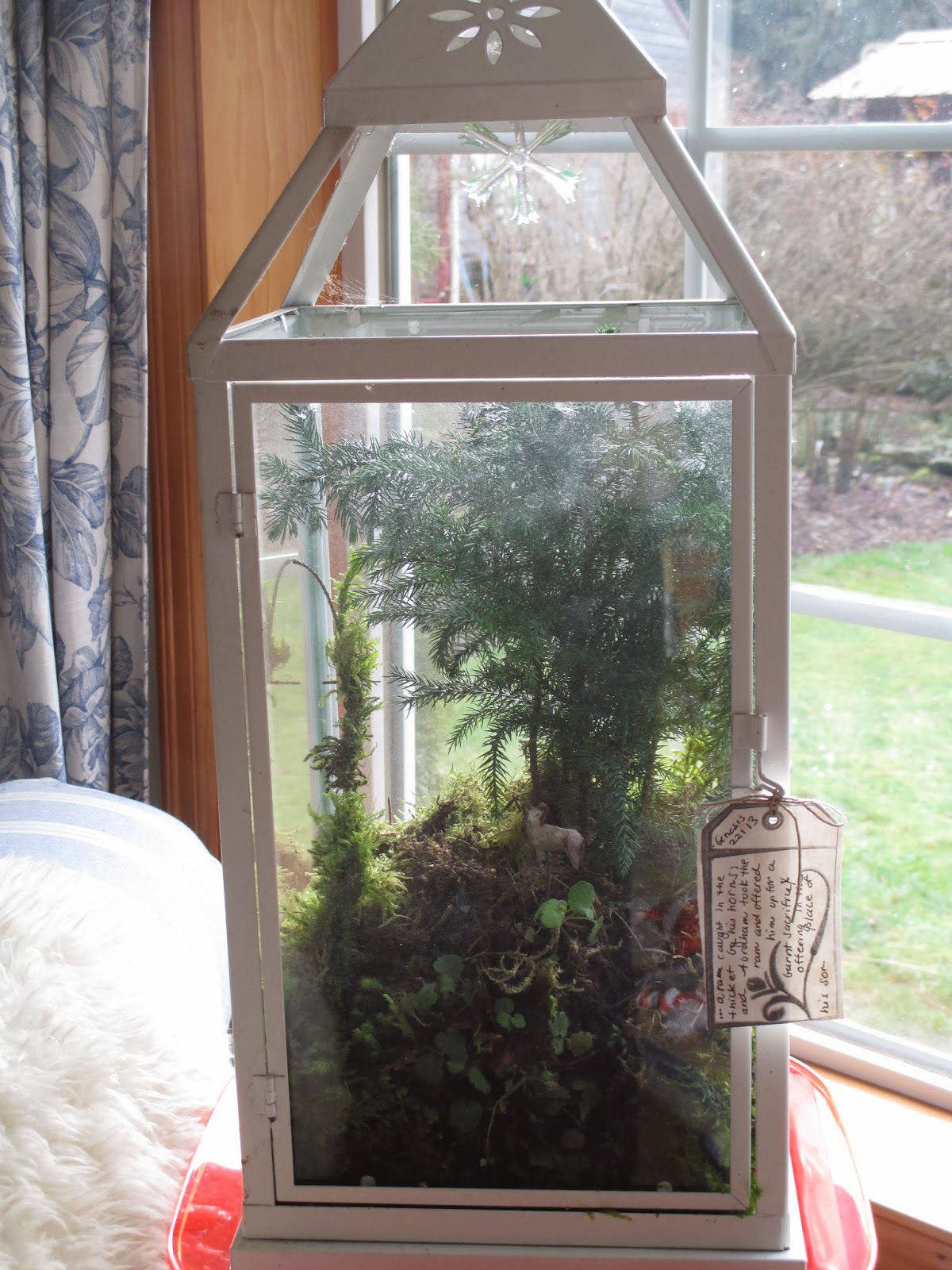 From Cedar Pond to Laughing Dove Farm : Terrariums ~ Part 2 ( An ...
