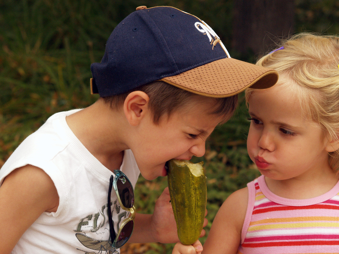 Every Day Is Special: November 14 – National Pickle Day