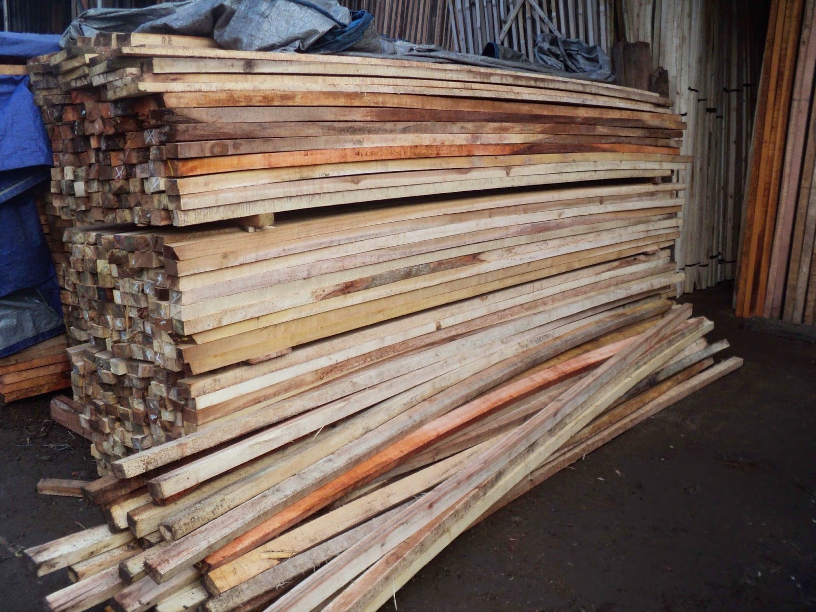 TOKO BANGUNAN, MATERIAL DAN KELENGKAPANNYA: Kayu Lokal 4/6 - Good ...