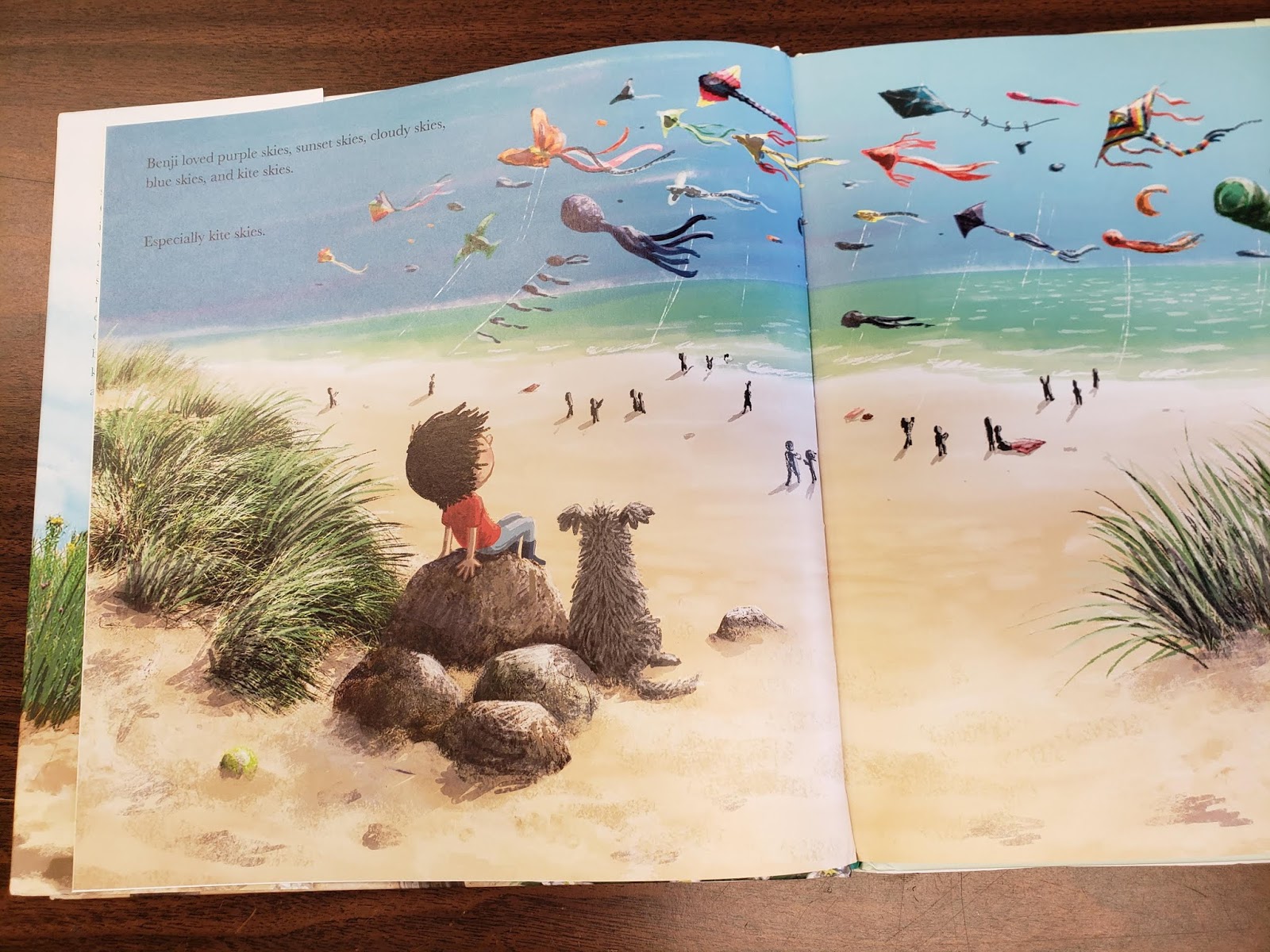 Airplanes and Dragonflies: BENJI AND THE GIANT KITE - Children's Book ...