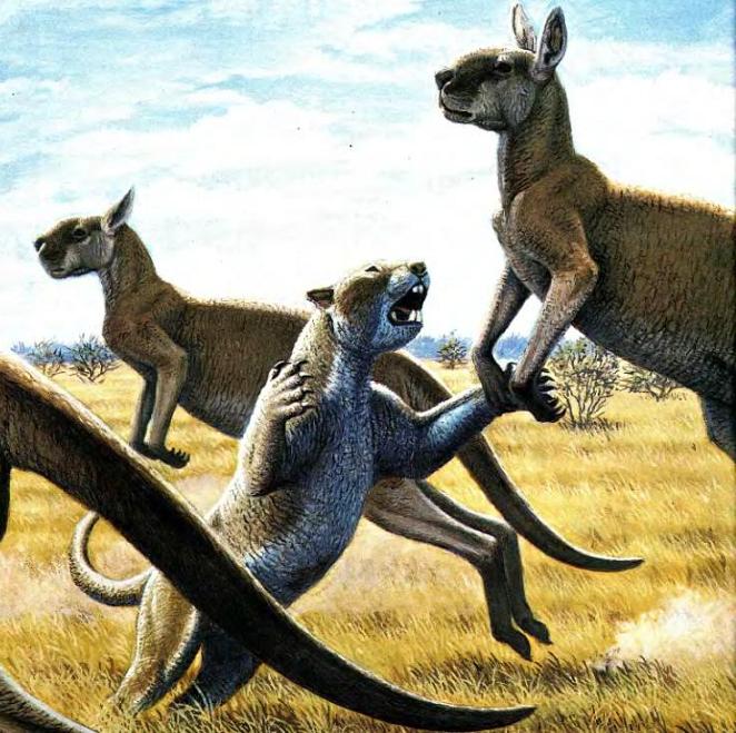 Самые загадочные места планеты: УДИВИТЕЛЬНОЕ РЯДОМ