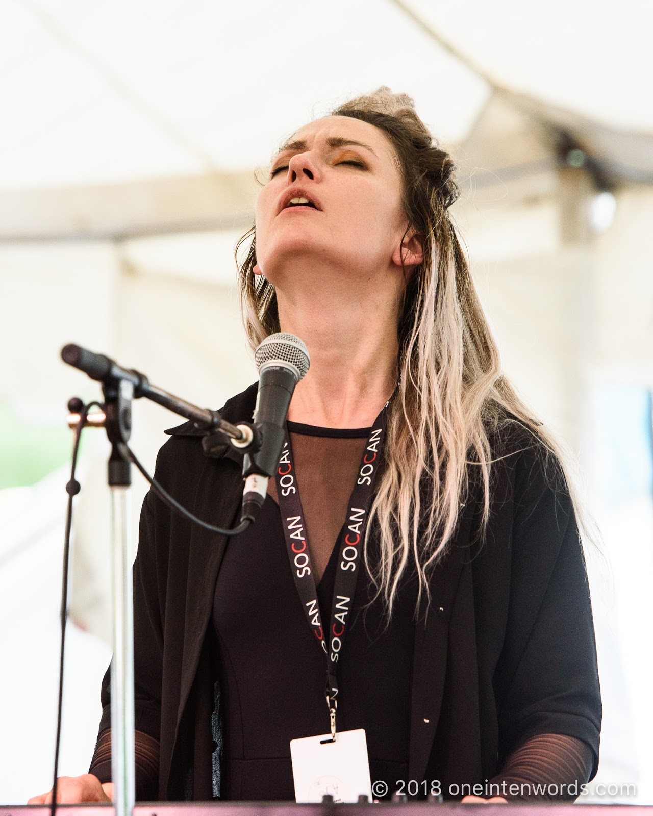 one in ten words: Hillside 2018: Day 3: Jessicka - Concert Photos