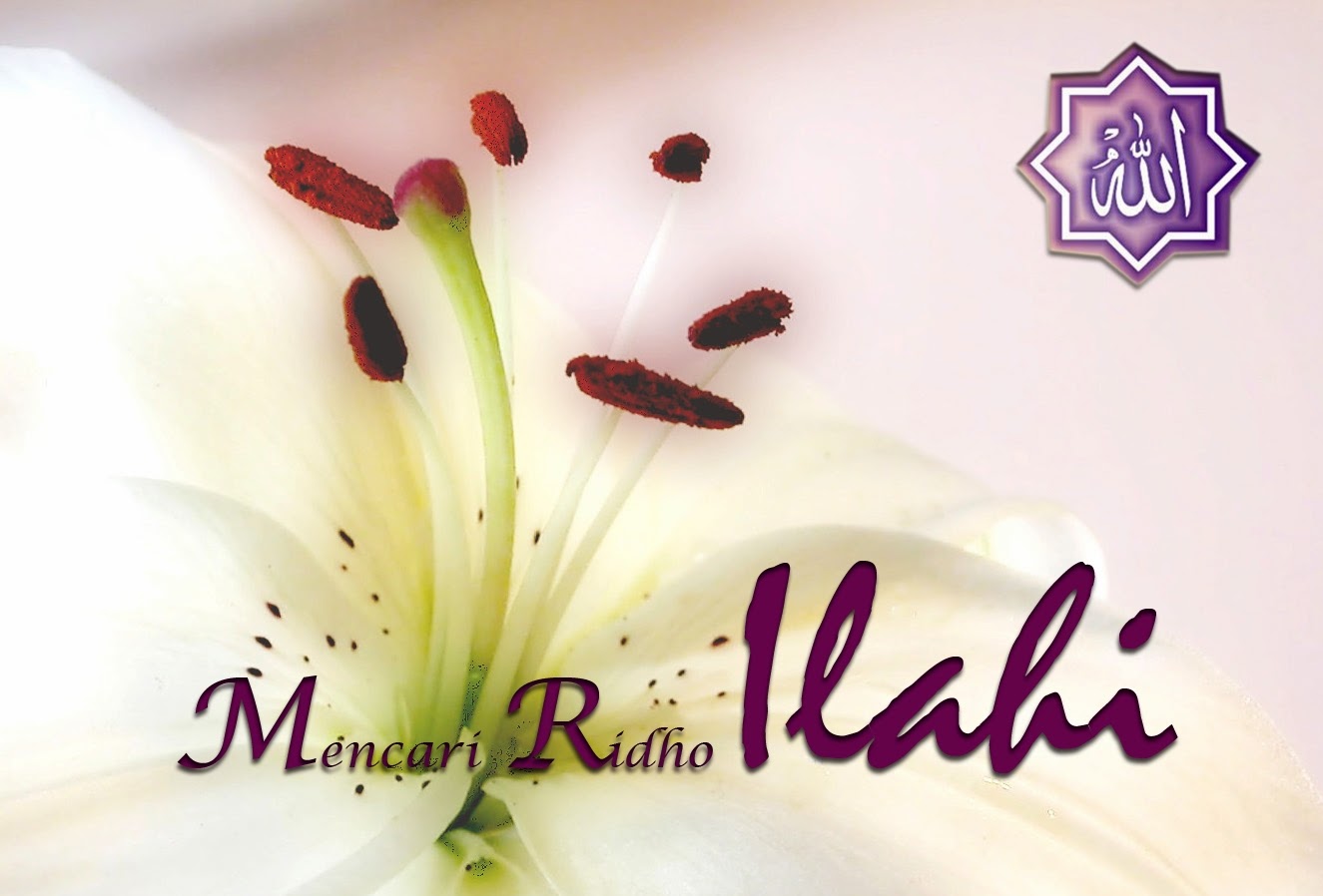 Hikmah dan Kisah Ulama Salaf: Kiat Sukses Meraih Ridha ALLAH