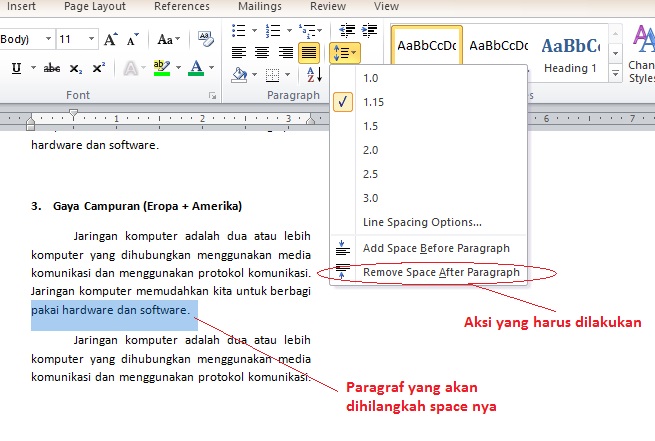 3 Cara Penulisan Paragraf - Astawan News