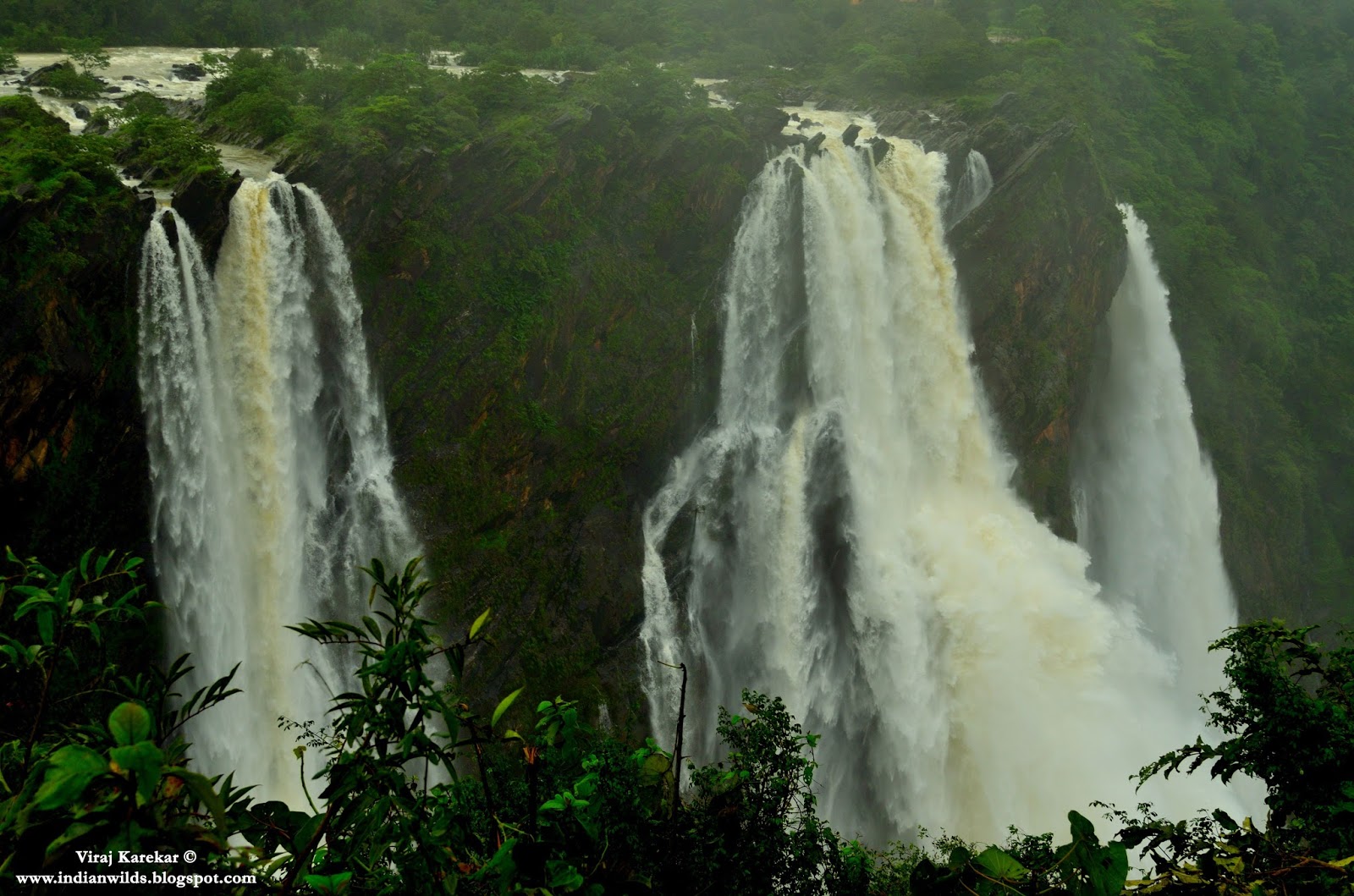 Viraj Karekar's Nature and Wildlife Photography: A view at Honnavar ...