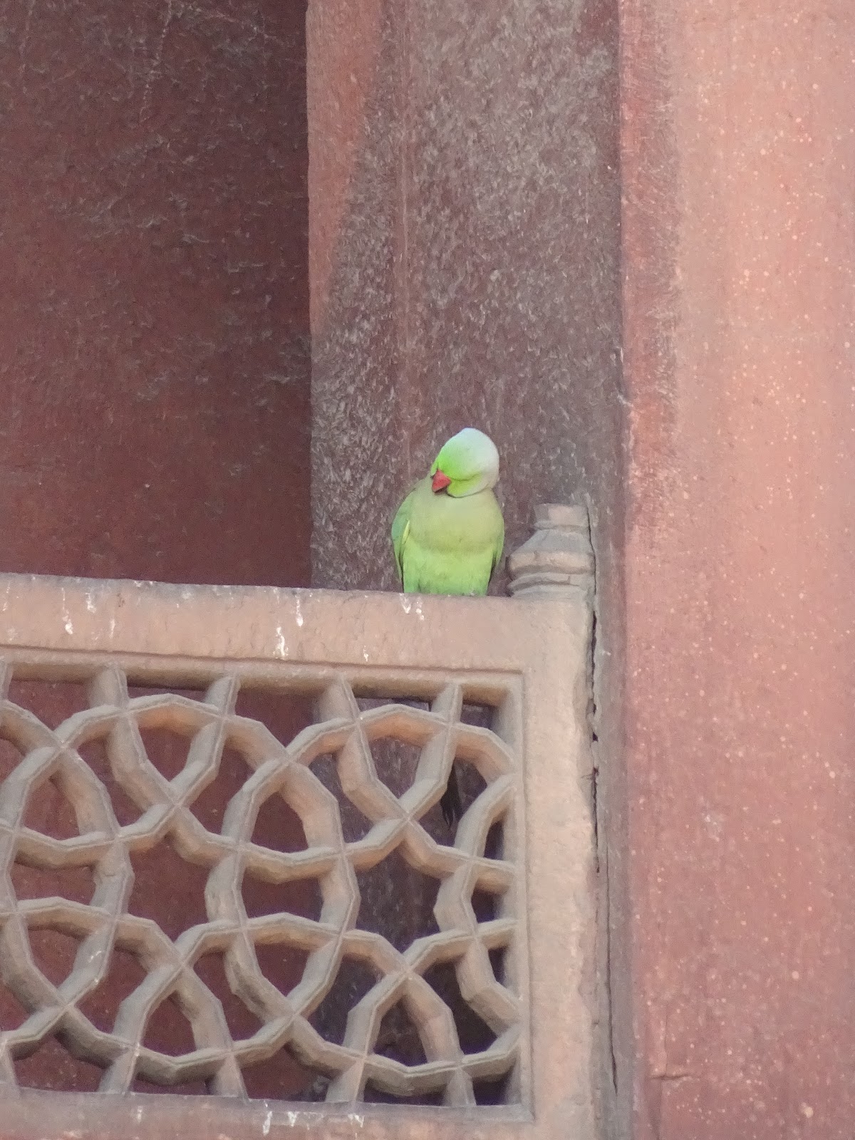 Vintage Vixen: All Izz Well - Delhi's Tombs, Trains and Treats