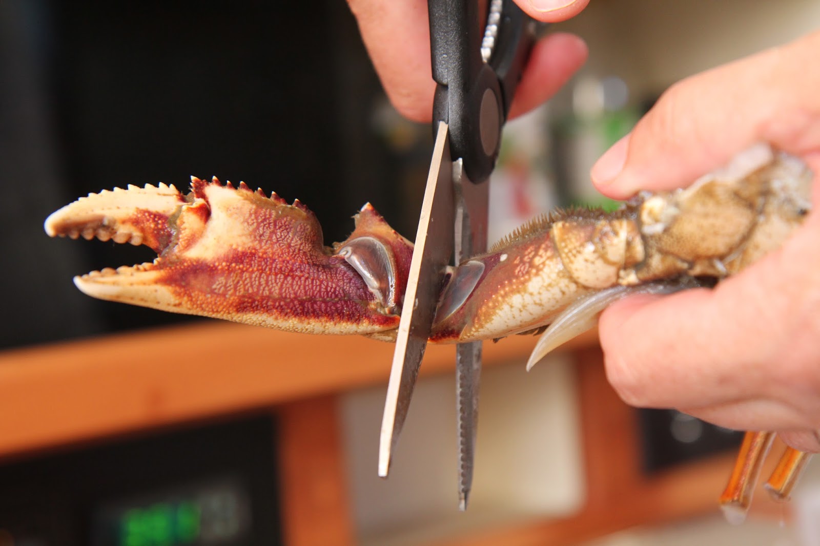 Fresh Start Cooking: Five Spice Garlic Crab - on a Boat