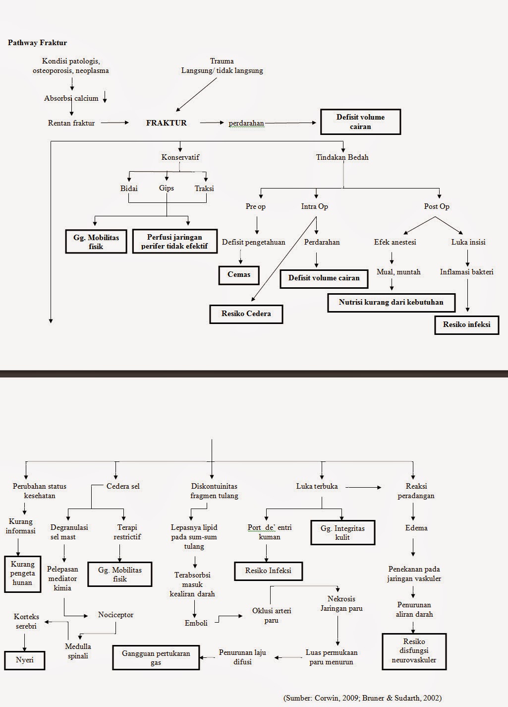 Adin Sutanto: ASKEP FRAKTUR FEMUR