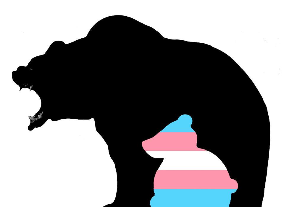 Learning in Tandem: When Your Teen Comes Out As Trans