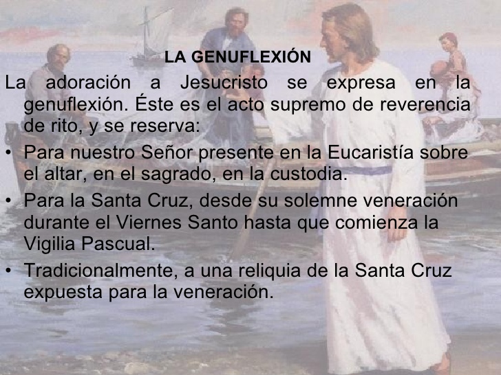 En las Redes con Jesús : ¿Por qué hacemos la genuflexión?