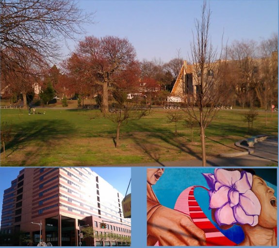 Southeast Queens Scoop Blog - Streetwise Digital News: Let's Explore ...