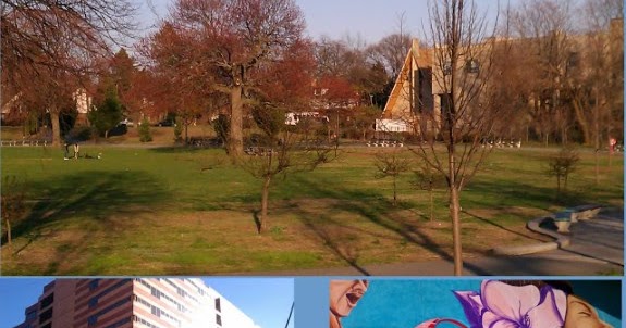 Southeast Queens Scoop Blog - Streetwise Digital News: Let's Explore ...