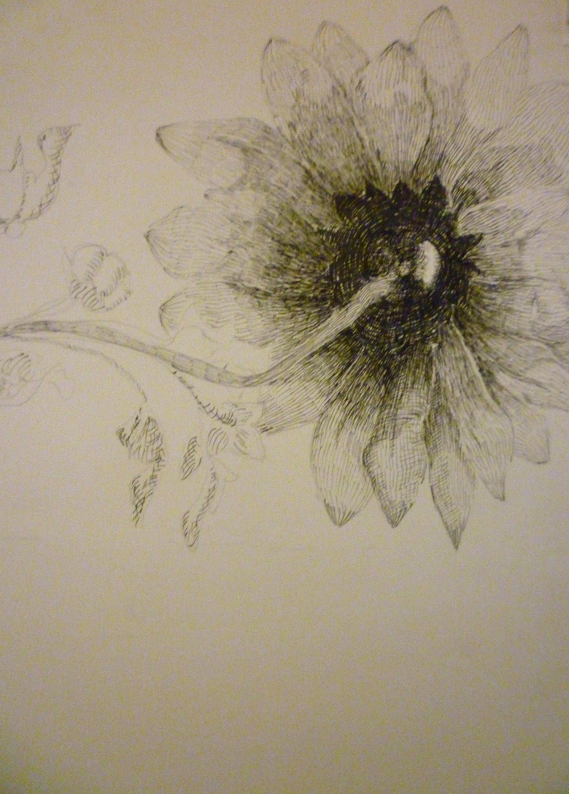 UM Drawing Tutorials: Value and Crosshatching