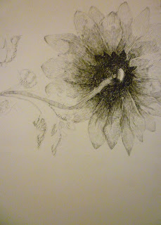 UM Drawing Tutorials: Value and Crosshatching