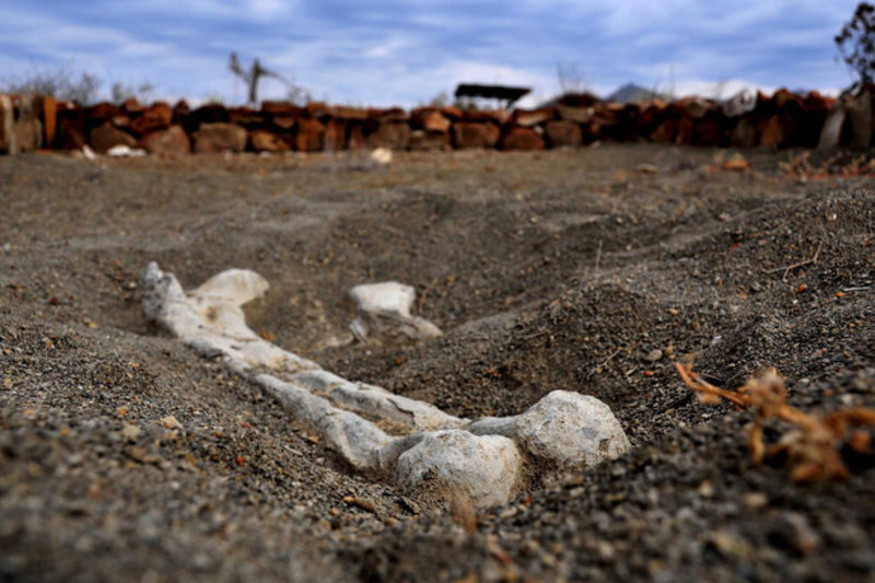 Estados/Hallan más de 30 mil restos óseos humanos en Nuevo León desde ...