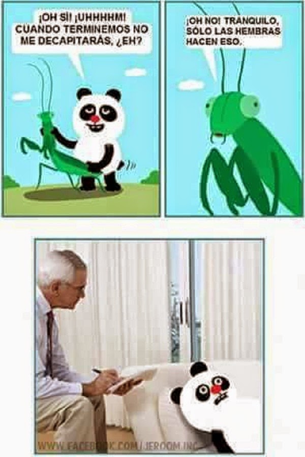 Nuevos Memes: Ozhe pero ke rikolino