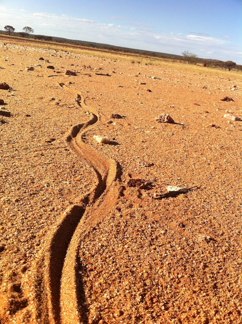 The Astronomist: April 2011