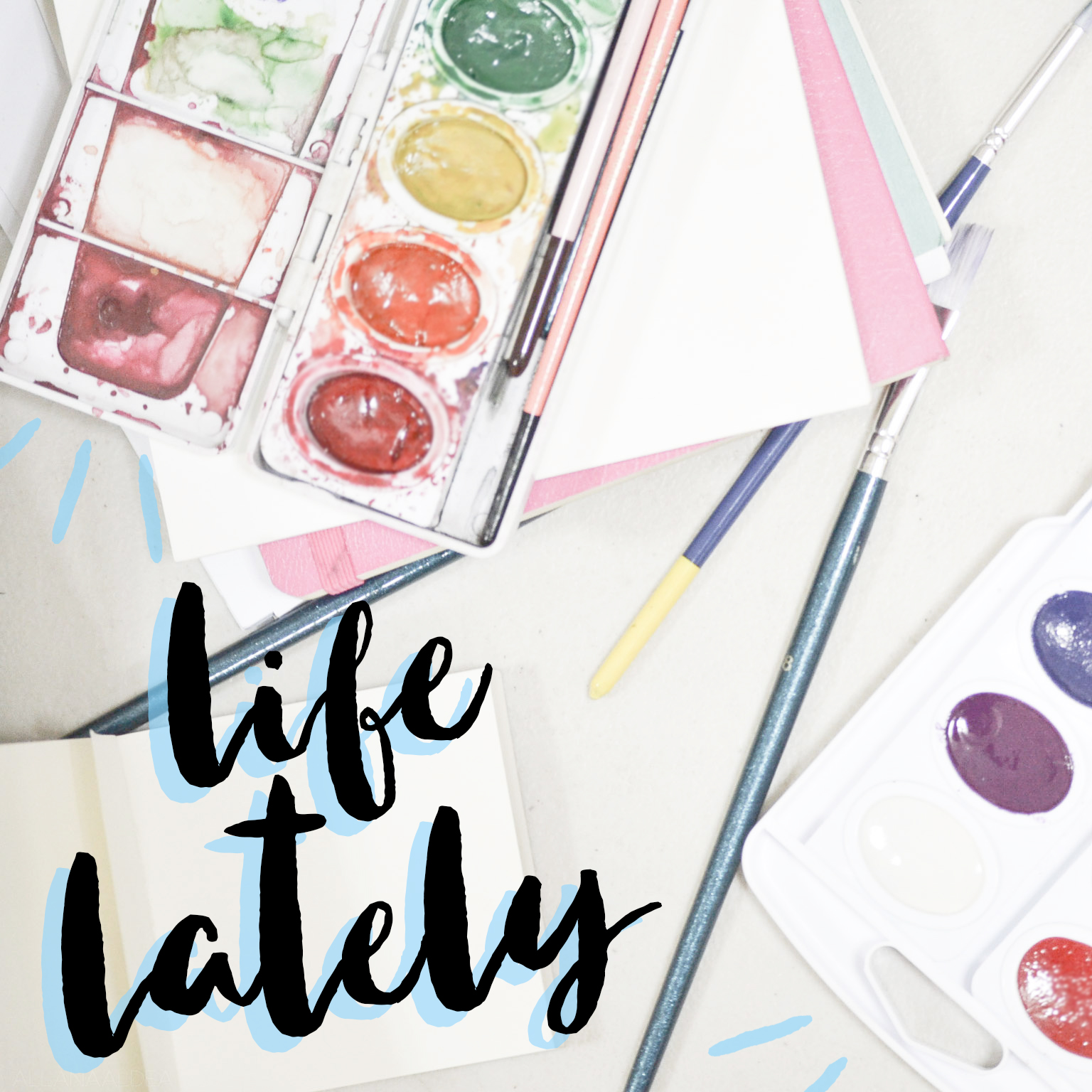 Life Lately v.1 / hello to you too!