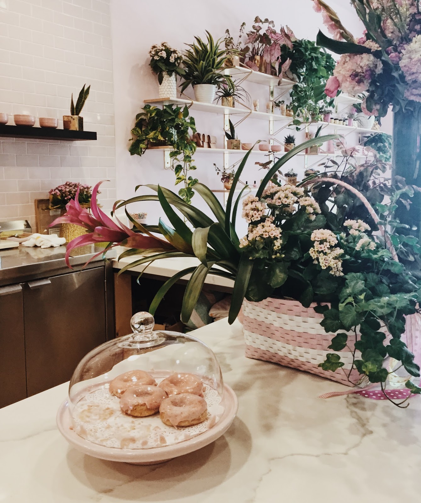 Holy Matcha | StephC