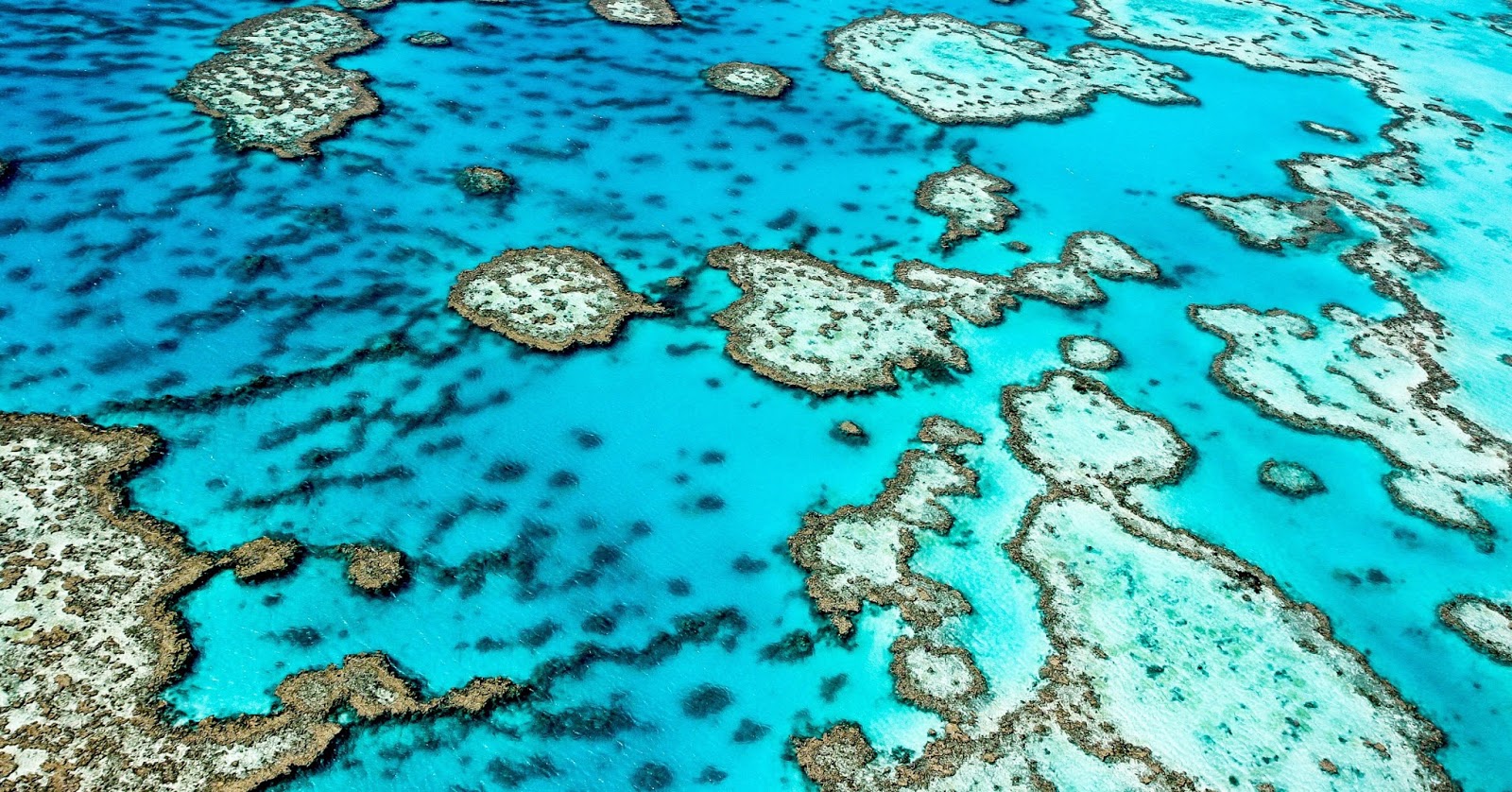 The Amazing World : The Great Barrier Reef Islands (World's Largest ...