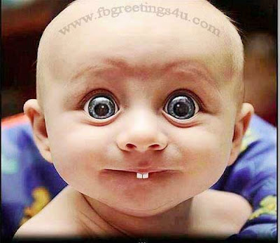 funny babies Images Pictures Comments