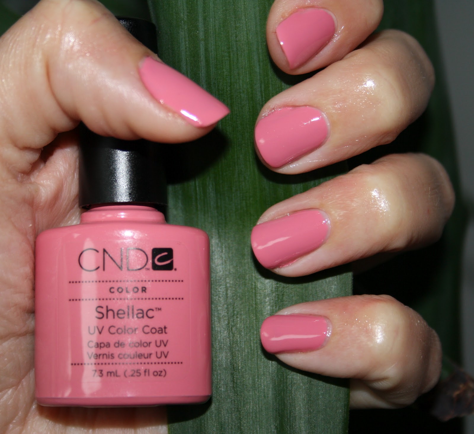 Das Beautytagebuch...: [Notd] CND Shellac Rose Bud