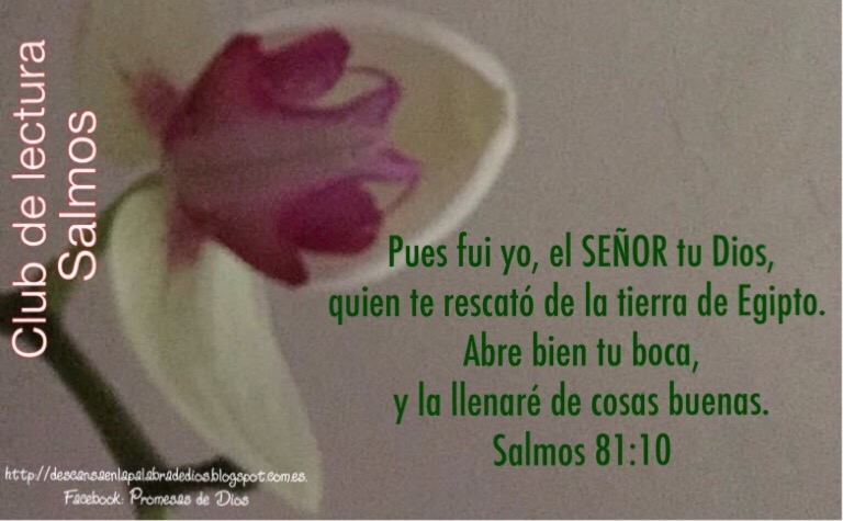 Promesas de Dios: Club de lectura - Salmo 81