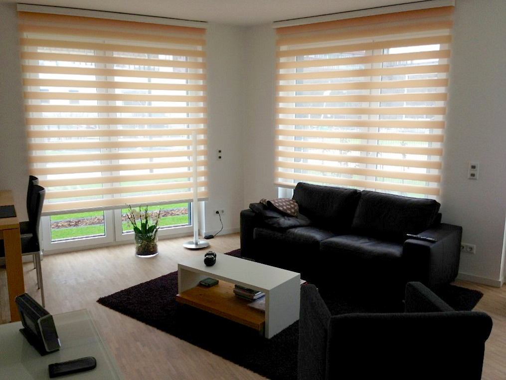 Stor Zebra Perde: ZEBRA PERDE MODELLERİ