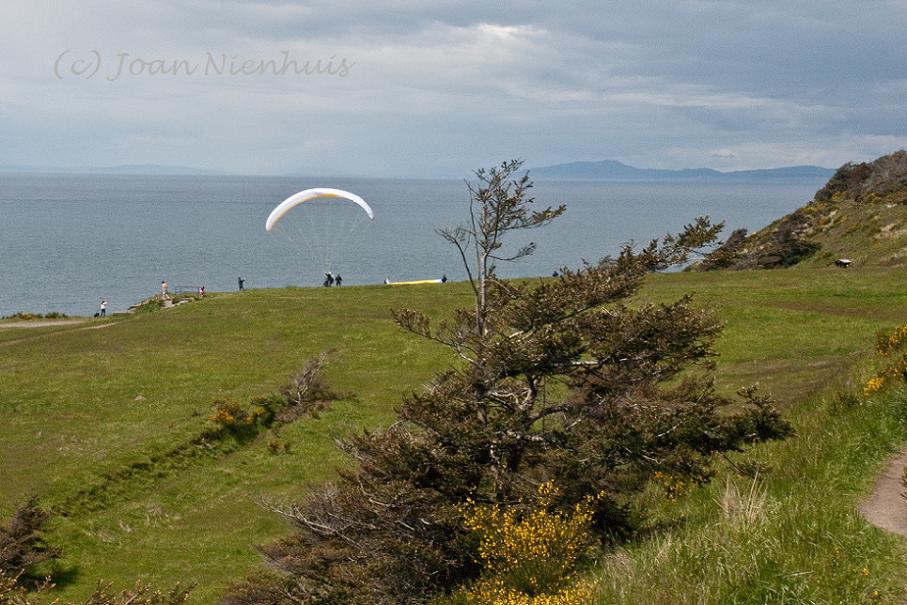 Pacific Northwest Photography: Ft. Ebey State Park, Whidbey Island, WA