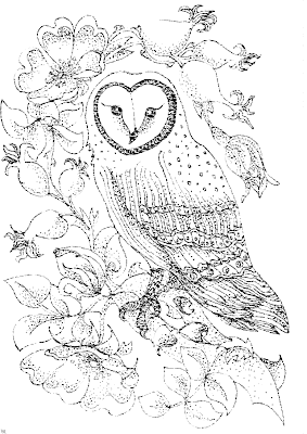 Guardians Of Ga Hoole Coloring Pages Printable Coloring Pages