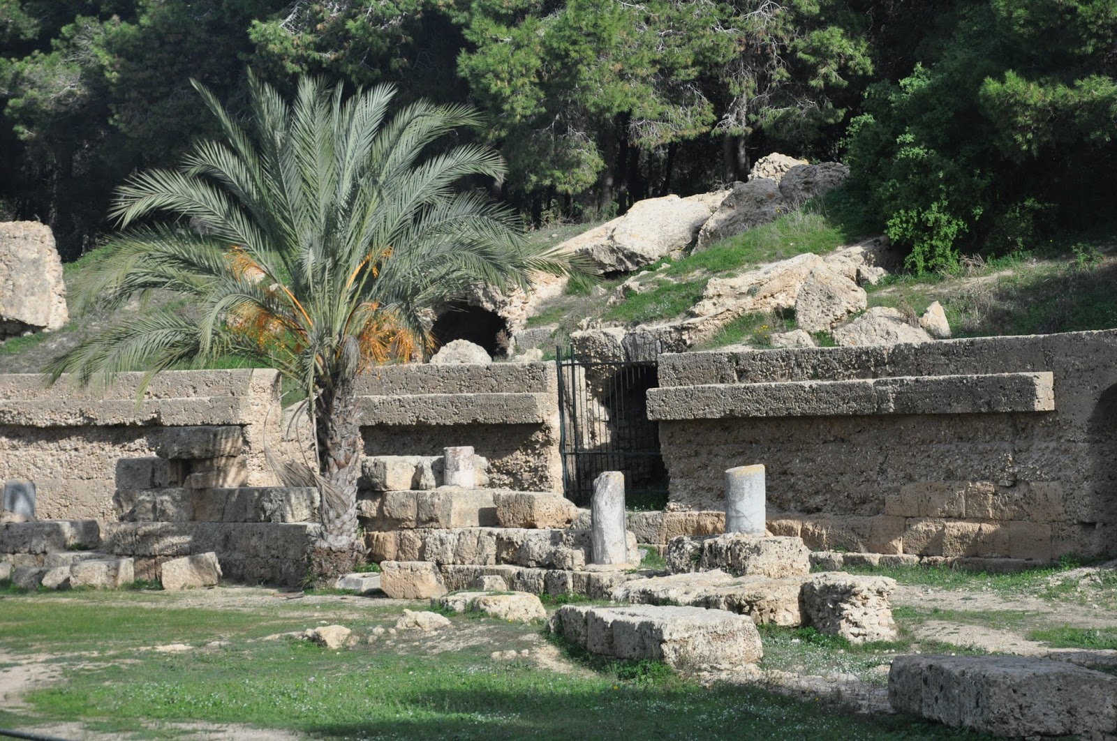 Ainsi va la vie ... pérégrinations de la famille salaün: Carthage : la ...