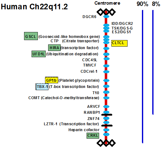 Digeorge Syndrome Growth Chart 22q11.2 Deletion Syndrome | Digeorge