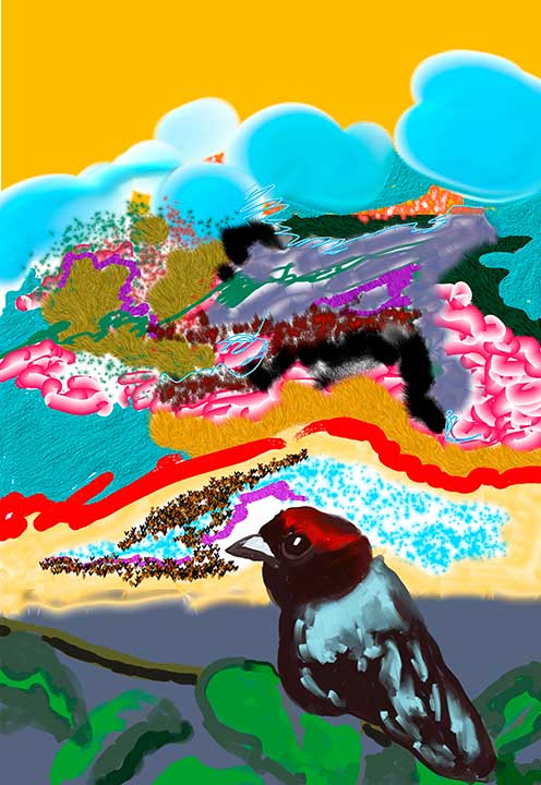 A Thousand Words ...: Evolution of an Bird Inspired Idea