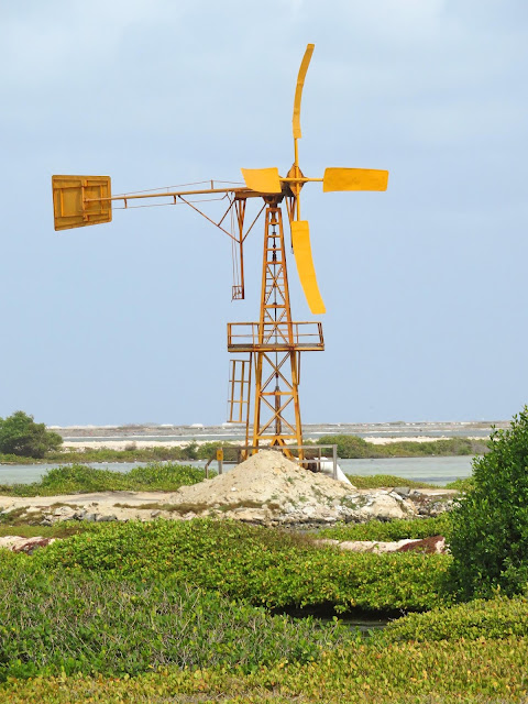 Geographically Yours: Solar Salt Works, Bonaire, Caribbean Netherlands