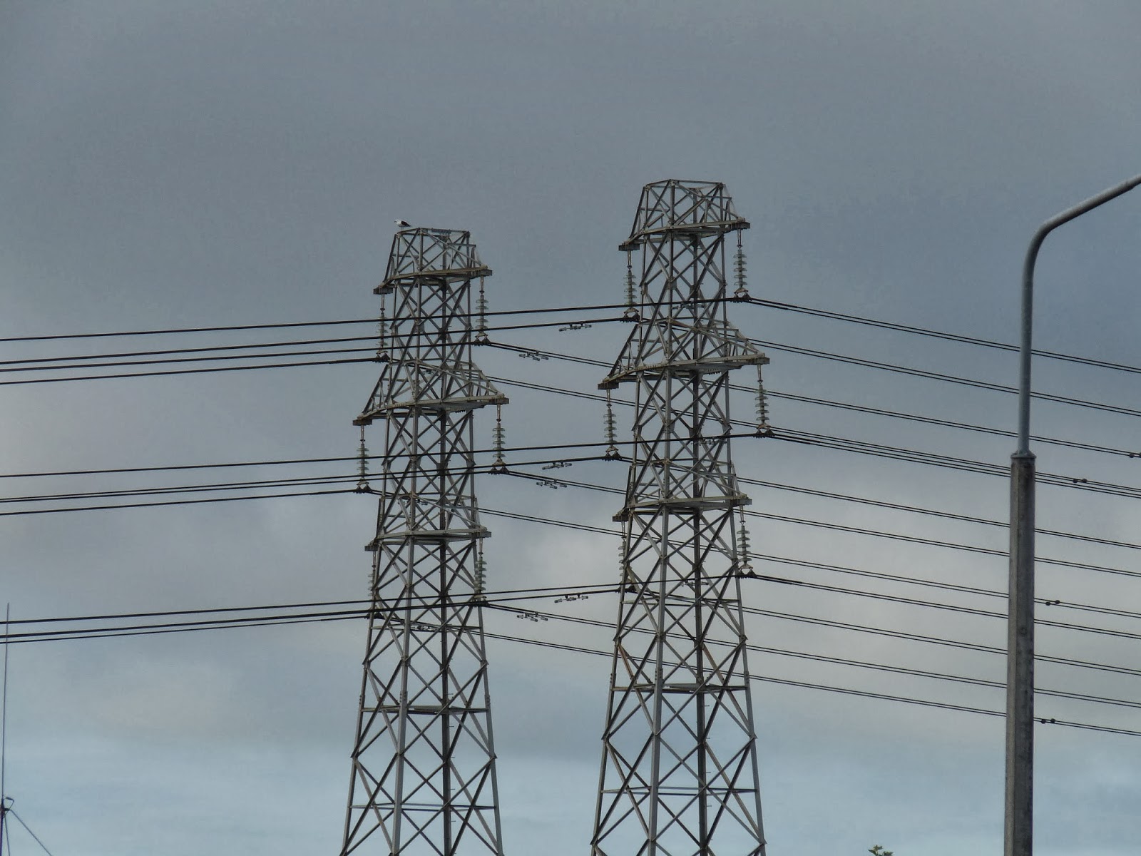 Our Pieces of World: T&D - Pylones